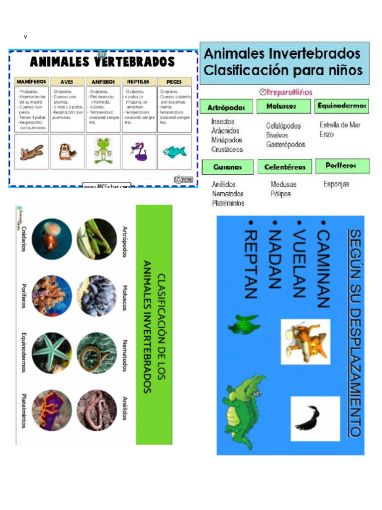 Clasificación de Animales | PDF