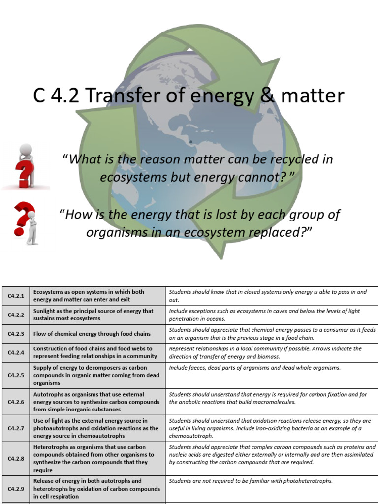 C 4.2 SL Transfers of Energy and Matter | PDF | Food Web | Primary ...