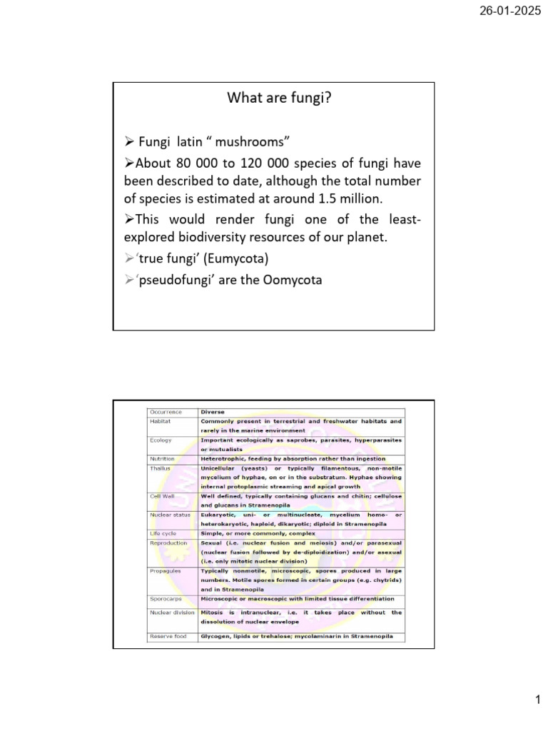Introduction To Fungi | PDF | Fungus | Ploidy