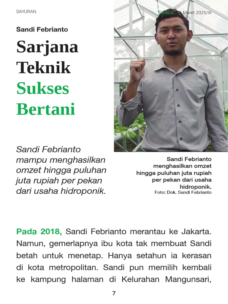 Sandi Febrianto: Sukses Usaha Hidroponik | PDF