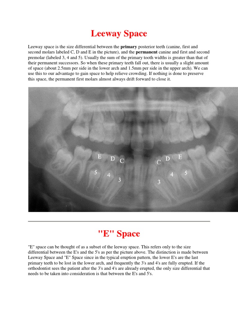 Leeway Space | PDF | Gigi | Fisiognomi