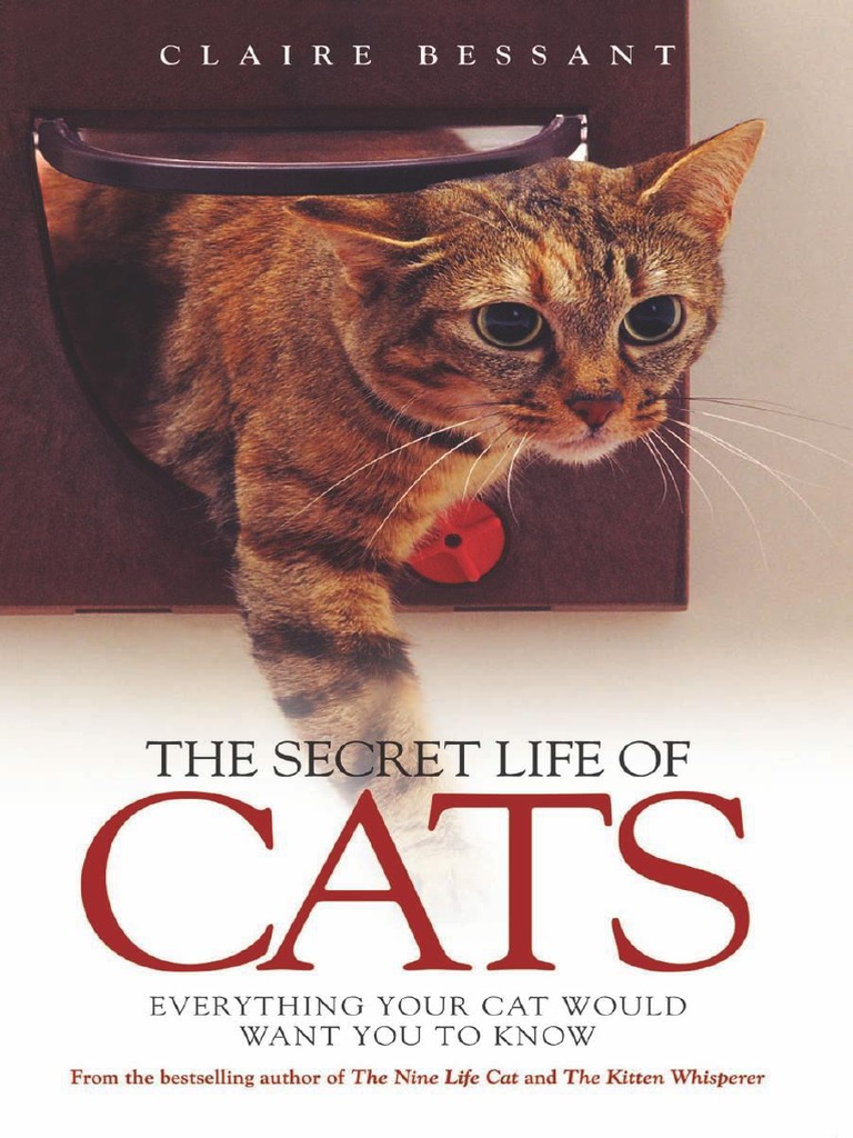 The Secret Life of Cats | PDF | Cats | Kitten
