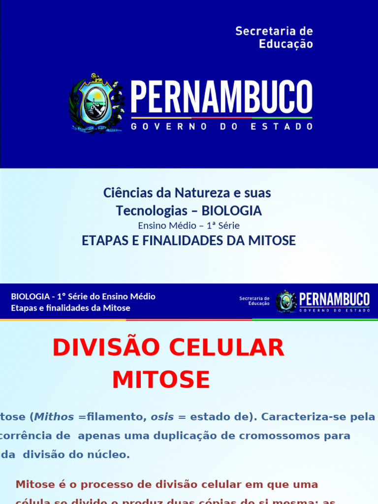 Etapas e finalidades da Mitose | PDF | Mitose | Biologia Celular