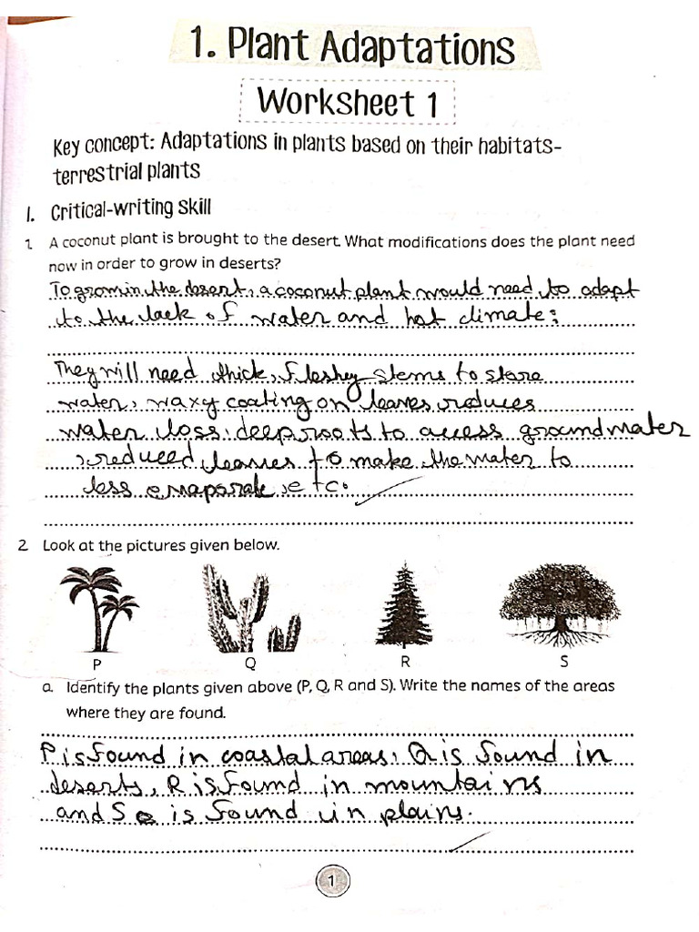 Plant Adaptation Workbook | PDF