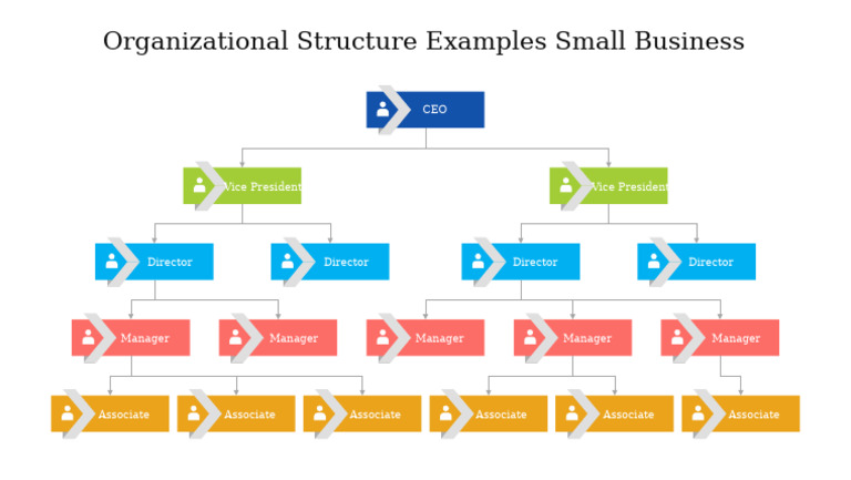 87447-Organizational Structure Examples Small Business | PDF