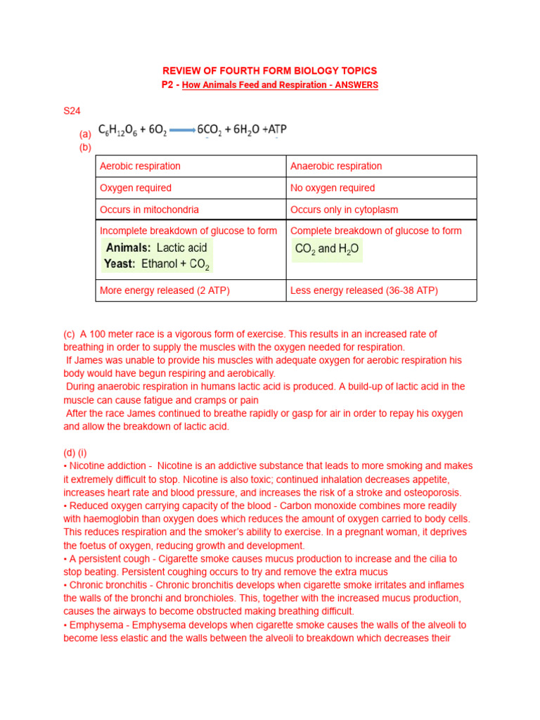 P2 - How Animals Feed and Respiration (2024) - ANSWERS | PDF | Plant Nutrition | Cellular ...