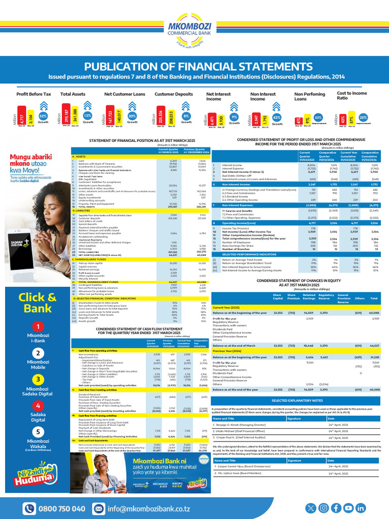 2025 Q1 Financial Statements | PDF | Income | Equity (Finance)