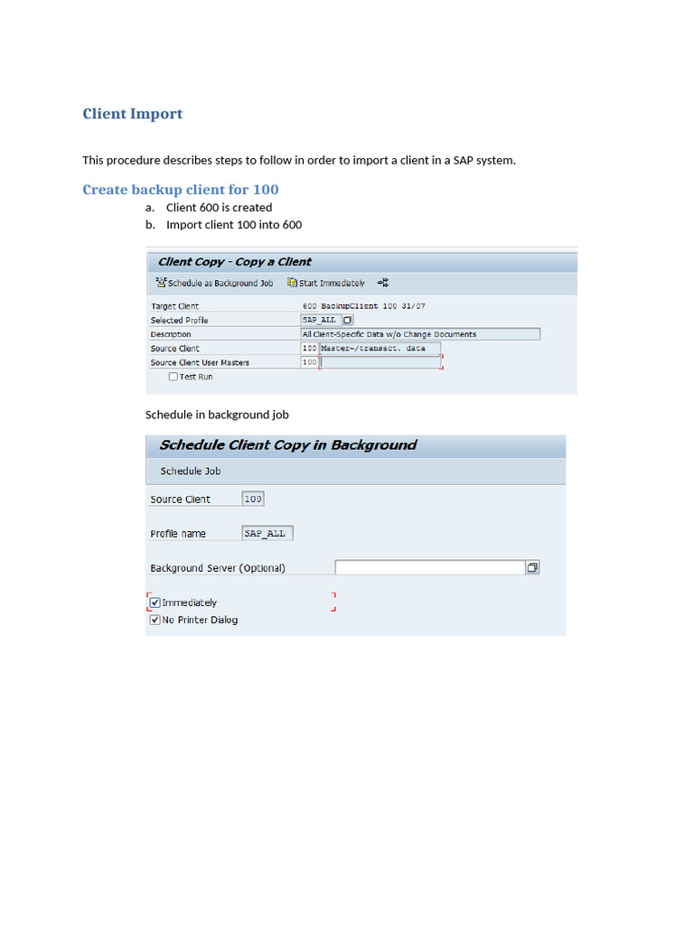 Procedure Import Client | PDF