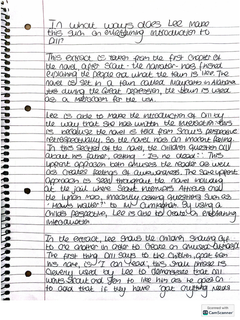 Mocking Bird Dill Intro Essay | PDF