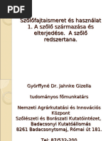 Gyorffyne J G Es Mtsai Szuloi Haplotipusok Rekonstrualasa Egyetlen Szolo Magbol | PDF