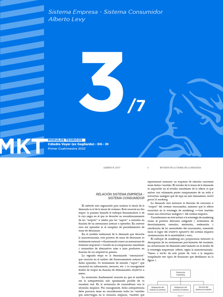 MKT Voyer2024 Modulo3 | PDF | Mercado (economía) | Producto (Negocio)