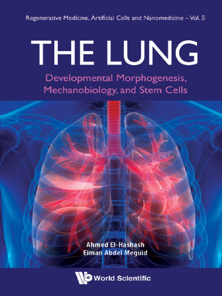THE LUNG | PDF | Respiratory Tract | Lung