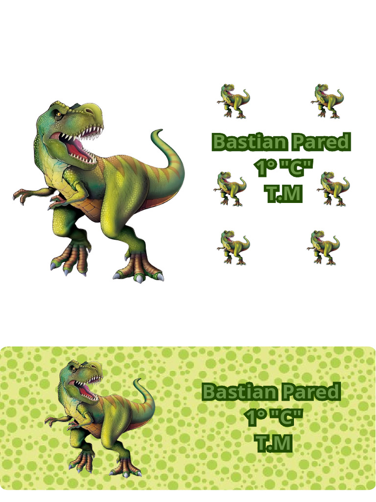 Anarella 20250312 165805 0000 | PDF