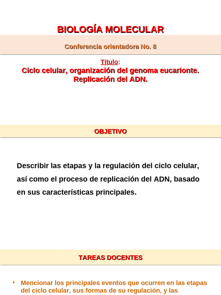 Conferencia 10. Ciclo Celular, Replicacion y Transcripcion Del ADN | PDF | Ciclo celular ...