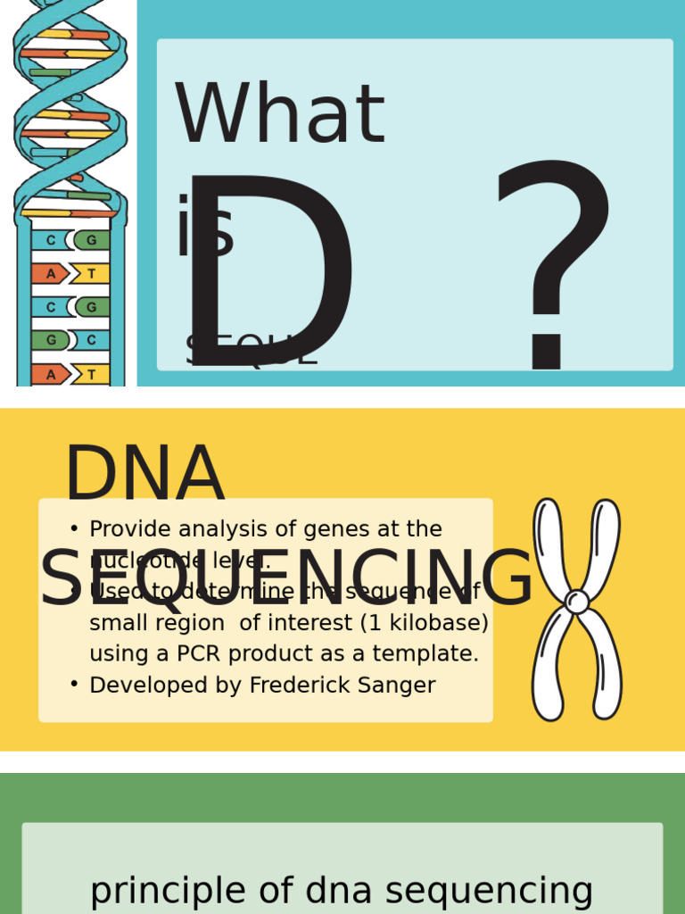 DNA Biology Science Education Presentation in Blue Orange Illustrated ...