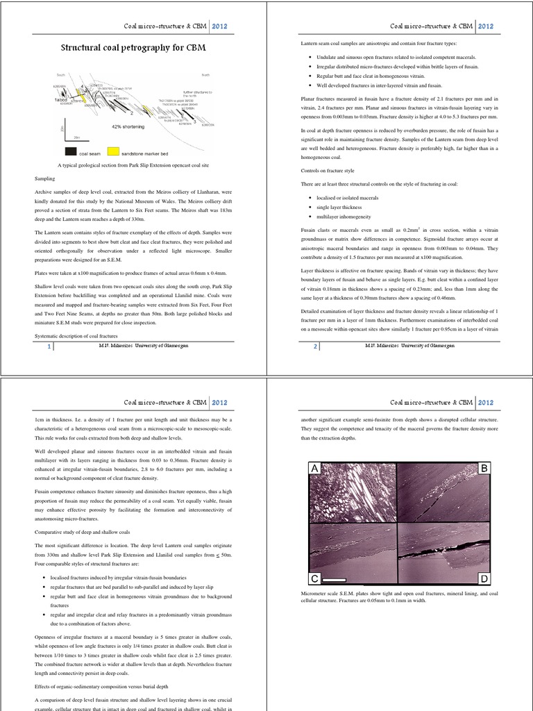 Coal Petrography For CBM | PDF | Coal Mining | Scanning Electron Microscope