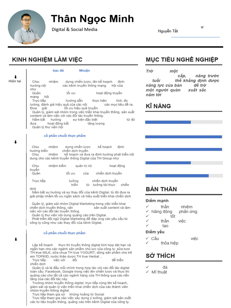 CV Than Ngoc Minh 11.2022 1 | PDF