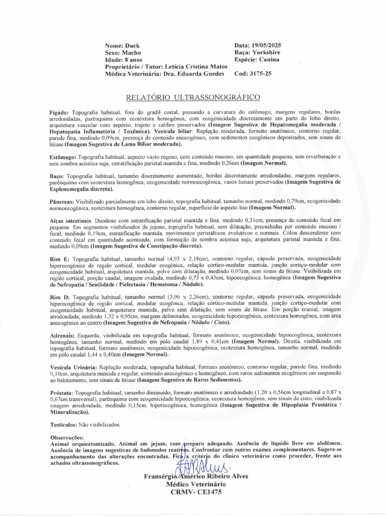 Laudo Duck-Letícia | PDF