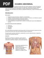 Maniobra de Mathieu en Exploración Abdominal | PDF | Abdomen | Bazo