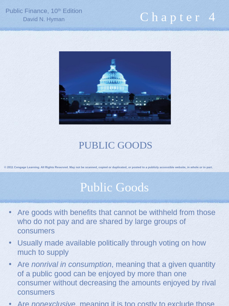 Understanding Public Goods in Economics | PDF | Goods | Demand
