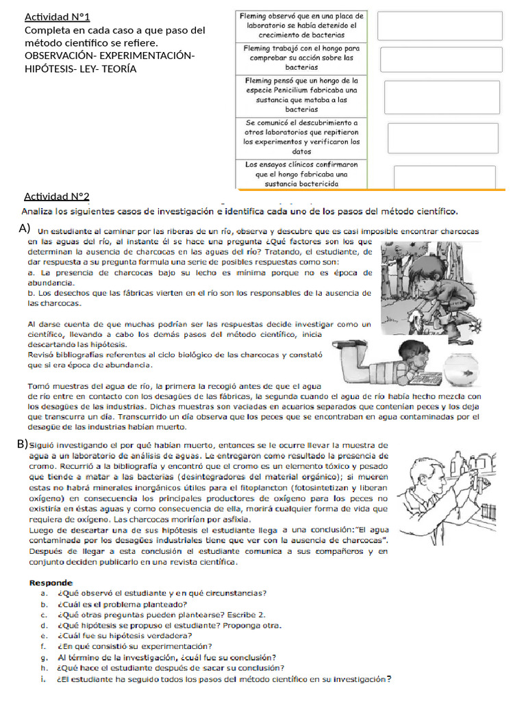 Actividades Del Método Científico | PDF