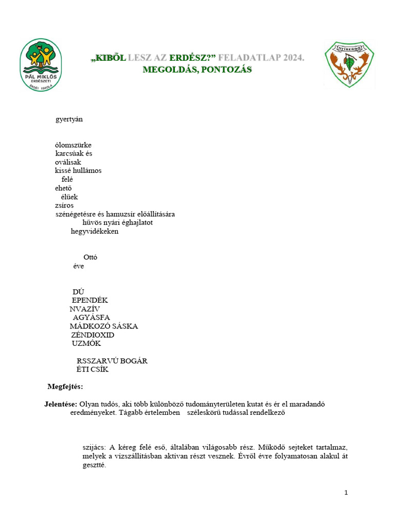 2024 Kibol Lesz - Feladatlap MEGOLDAS | PDF