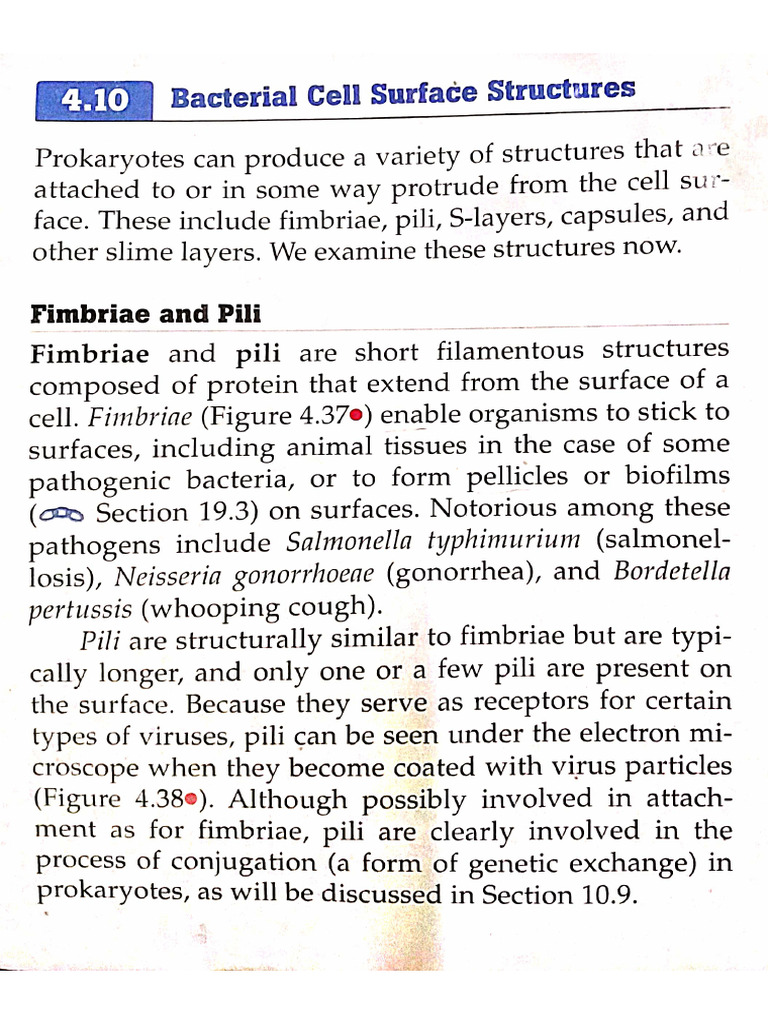 Pili or Flagella by Brock | PDF