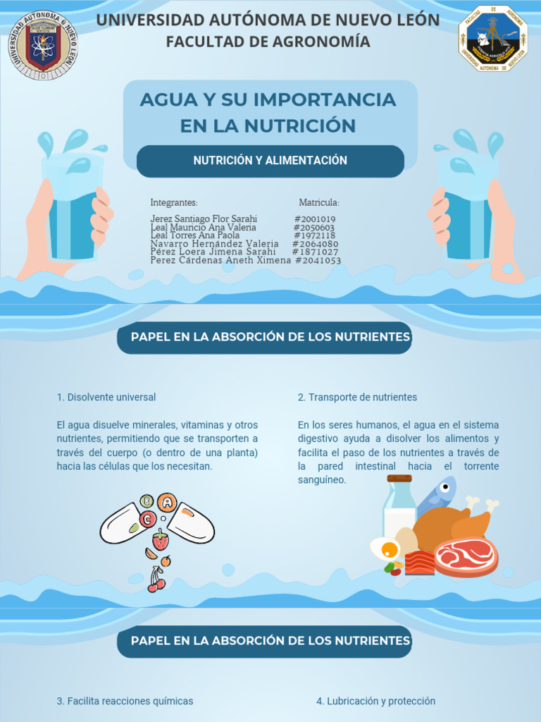 Importancia del Agua en la Nutrición | PDF | Agua | Nutrientes