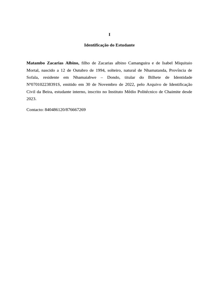 Relatório de Estágio de Matambo Zacarias | PDF