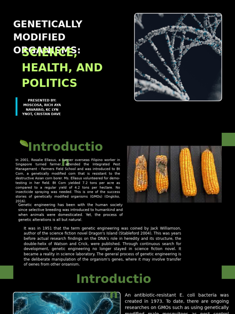 Genetically Modified Organisms 1 | PDF | Genetically Modified Organism ...