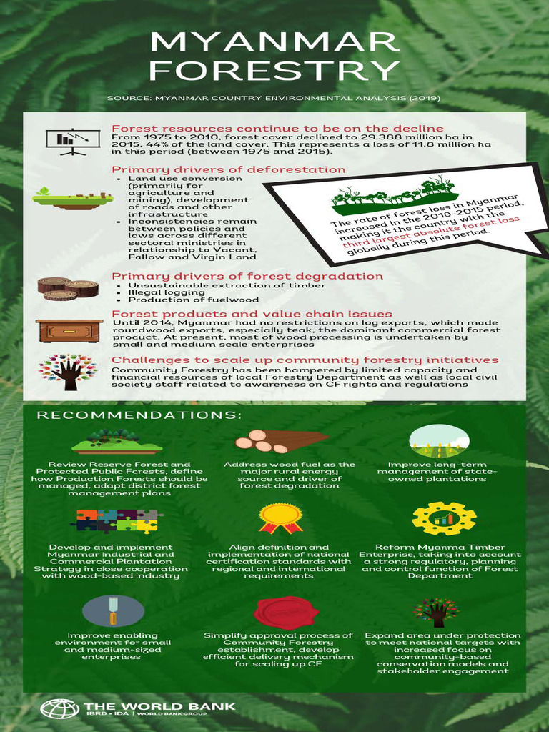 Infographic Myanmar Foresty WB 2019 | PDF