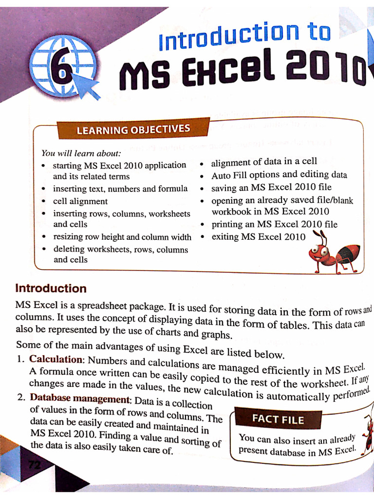 Chapter 6 Introduction To MS Excel 2010 | PDF