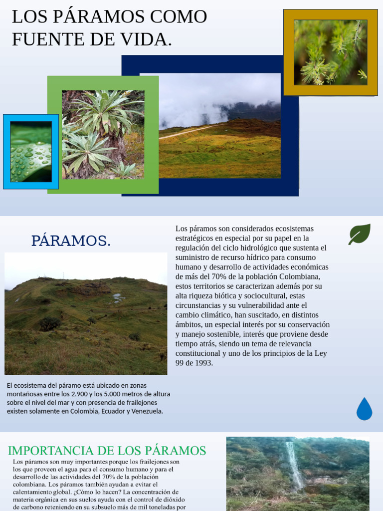 PÁRAMOS | PDF | Agua | El ciclo del agua