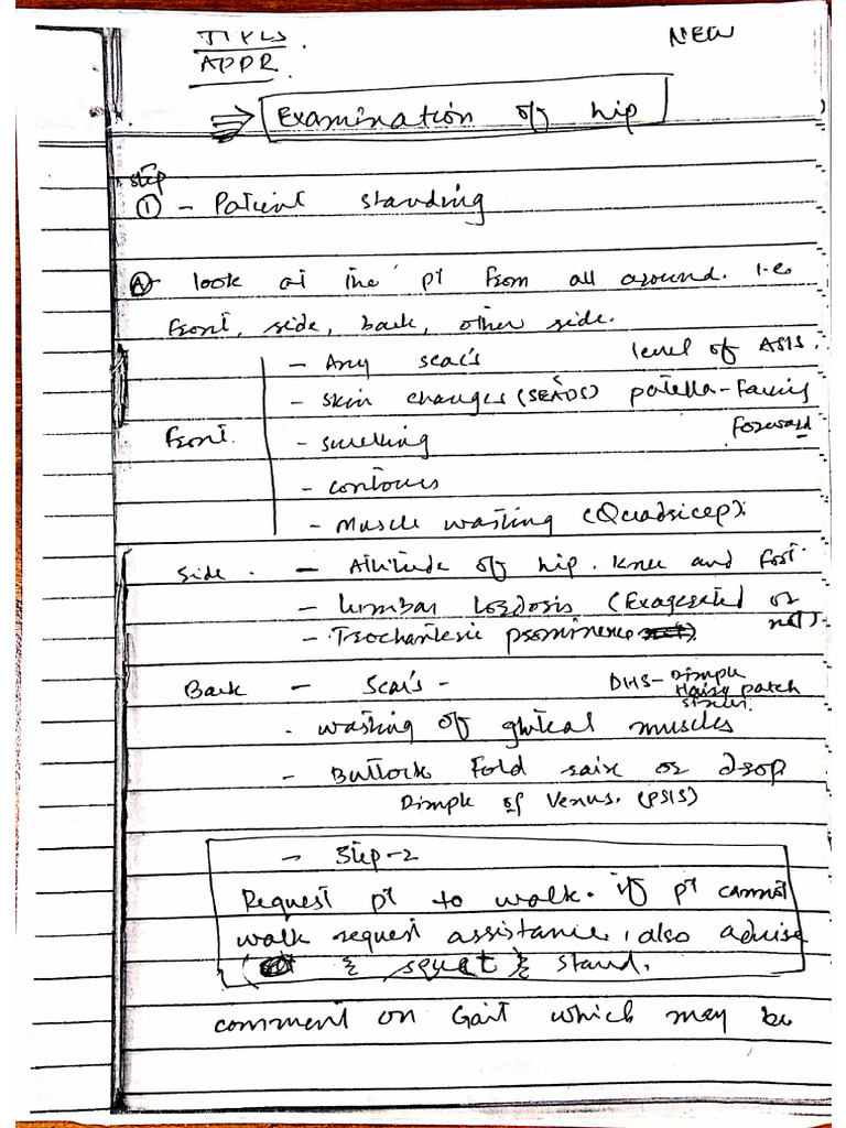 UZ Exam Notes | PDF