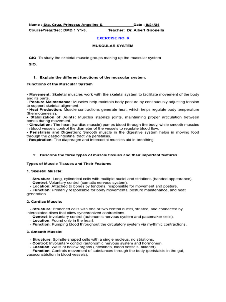 LAB EXERCISE - Muscular System | PDF | Muscle | Skeletal Muscle