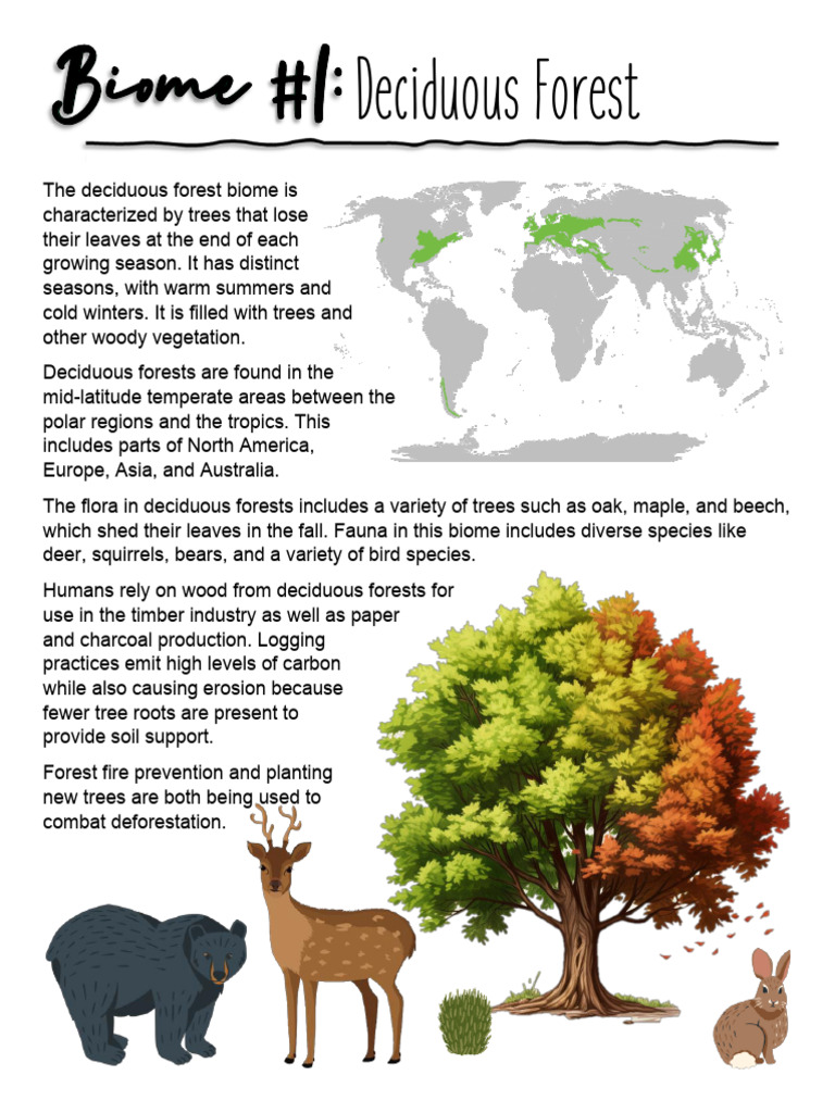 httpsinst-fs-iad-prod.inscloudgate.netfiles637f5df7-e955-44ec-8a14 ...