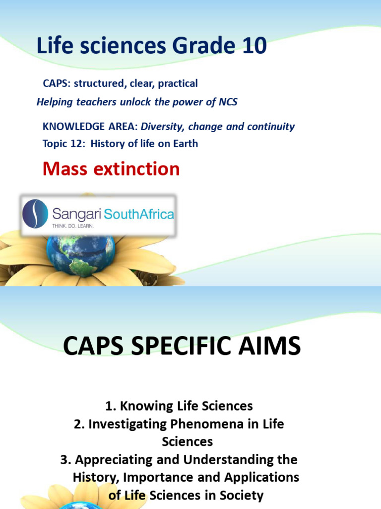 Mass Extinctions in Earth's History | PDF | Extinction | Volcano
