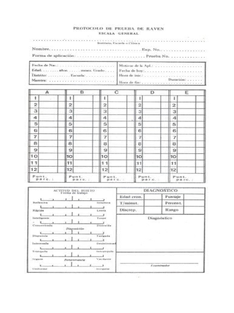 Protocolo de Prueba RAVEN | PDF