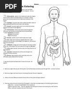 Digestive System Coloring | PDF | Human Digestive System ...