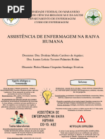 Atualização - Profilaxia Da Raiva Humana - Novas Diretrizes Brasileiras ...