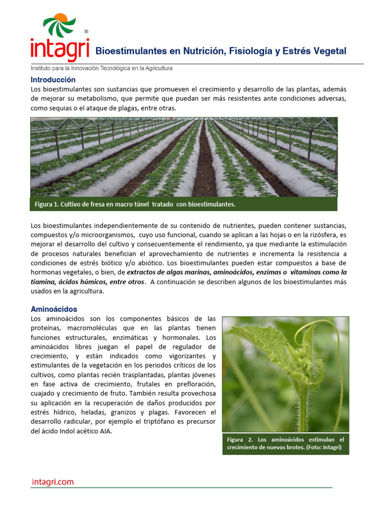 Bioestimulantes: Mejora del Cultivo Vegetal | PDF | Nutrientes | Plantas