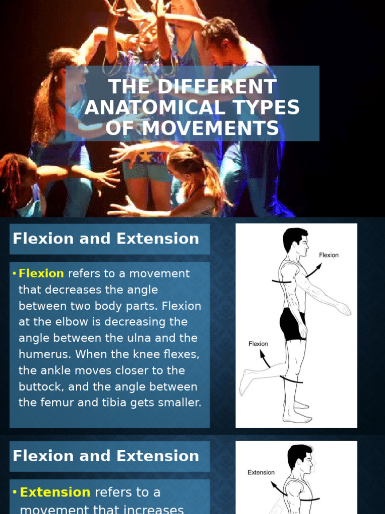 Anatomical Movement Term | PDF | Anatomical Terms Of Motion | Human Anatomy