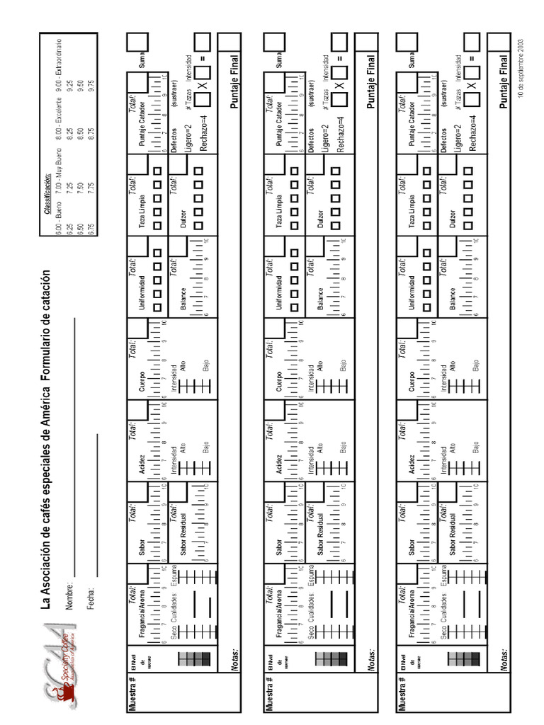 Formato SCAA (Esp) | PDF