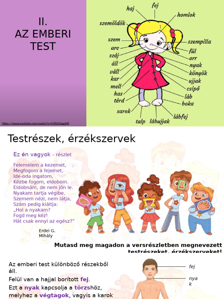 Testrészek, Érzékszervek | PDF