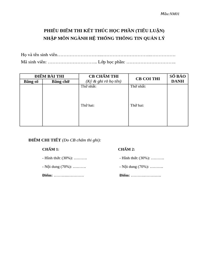 Phieu Cham Diem-Nhap Mon Nganh HTTTQL-chèn Vào Trang 2 Để Chấm | PDF