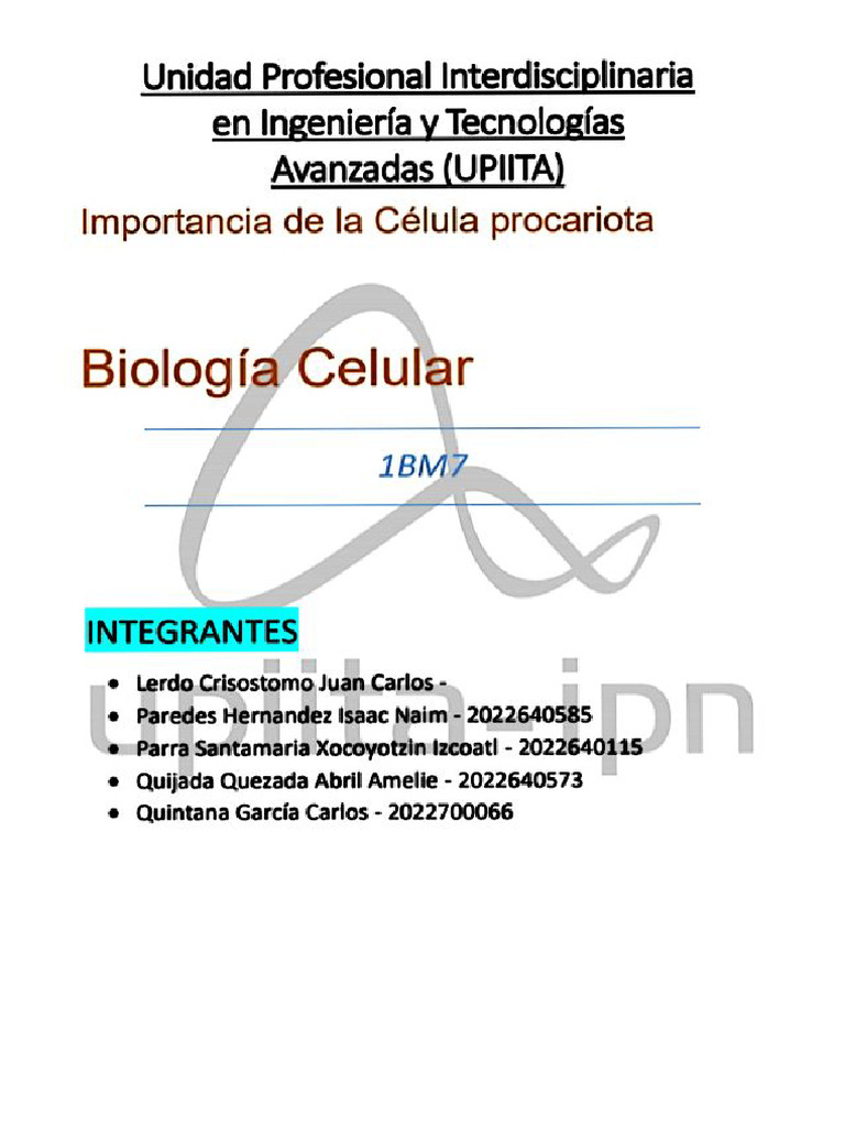 Documento 5 | PDF