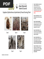 Dog and Cat Faecal Scoring Guide | PDF | Feces