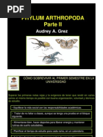 Anatomia Mosca Completa Con Imagenes | PDF