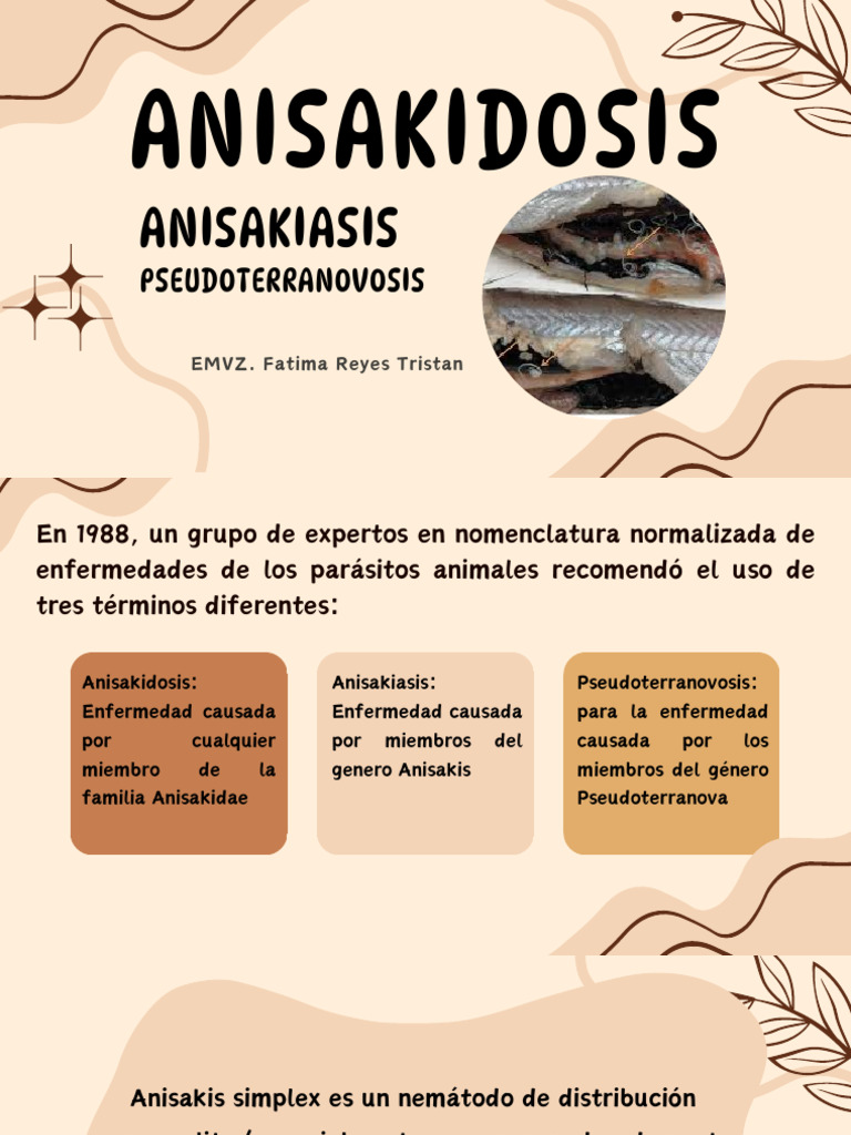 Anisakidosis | PDF | Zoología