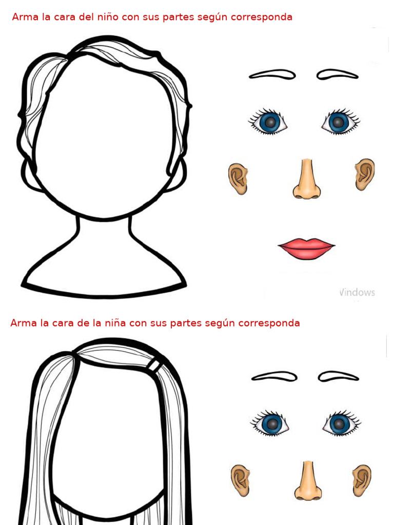 Hoja de Aplicacion La Cara | PDF